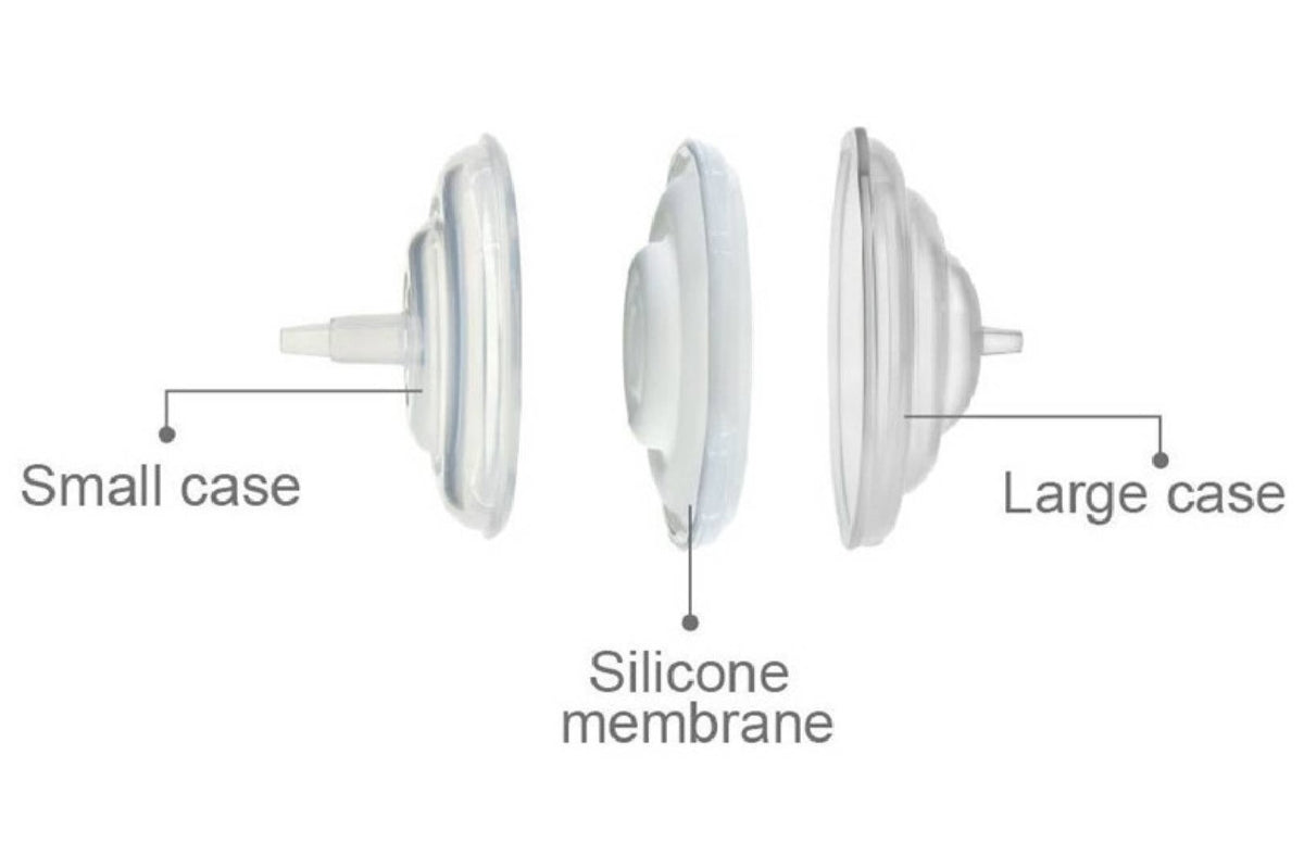Spectra Backflow Protector – Happikiddo.com